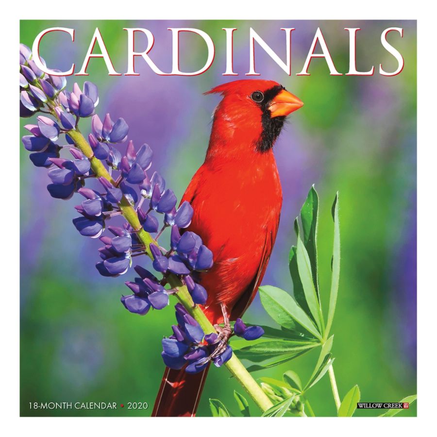 Willow Creek Press Cardinals Calendar 2020 - Office Depot