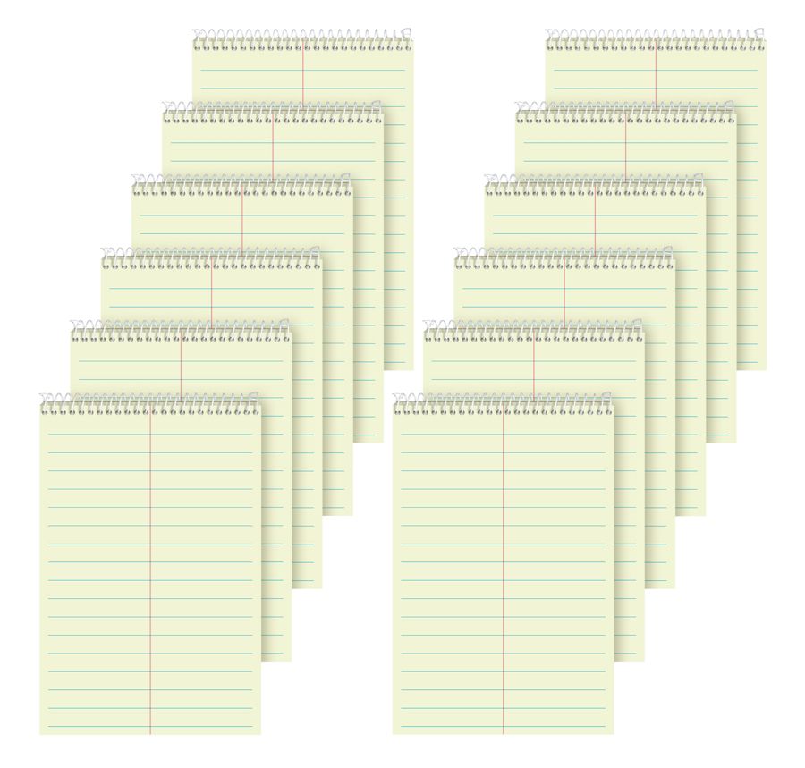 TOPS Steno Books 6 x 9 Pitman Ruled 80 Sheets Green Pack Of 12 - Office ...