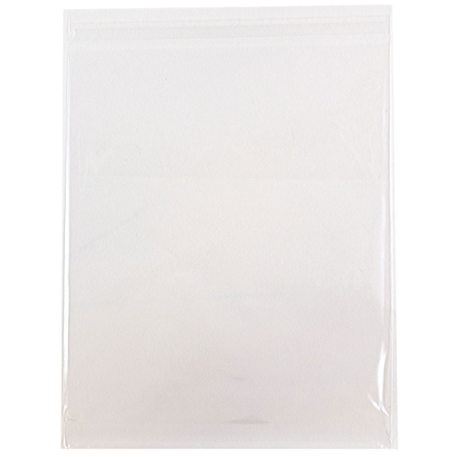 JAM Paper Self Adhesive Cello Sleeve Envelopes 10 x 13 Clear Pack Of ...