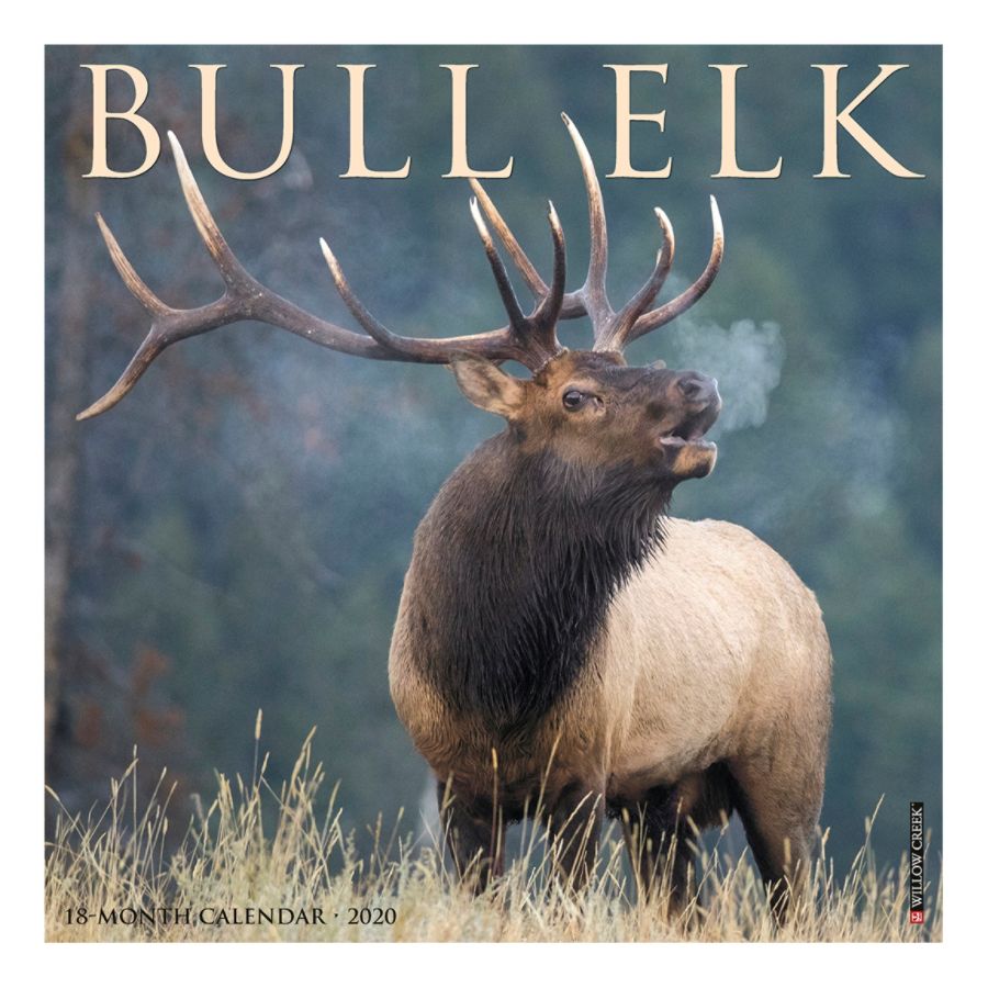 Willow Creek Press Bull Elk Calendar - Office Depot