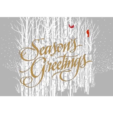 Viabella Holiday Boxed Greeting Cards 5 x 7 Seasons Greetings Pack Of ...