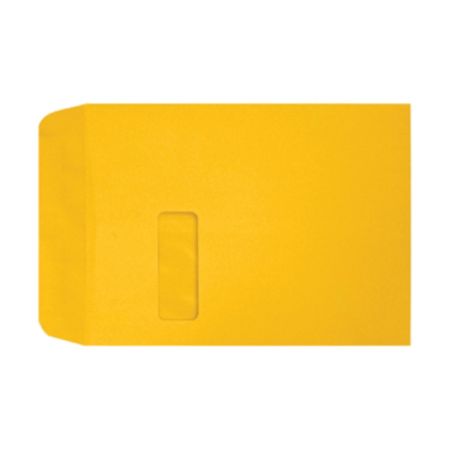 LUX Open End Window Envelopes With Peel and Press Closure 9 12 9 x 12 ...
